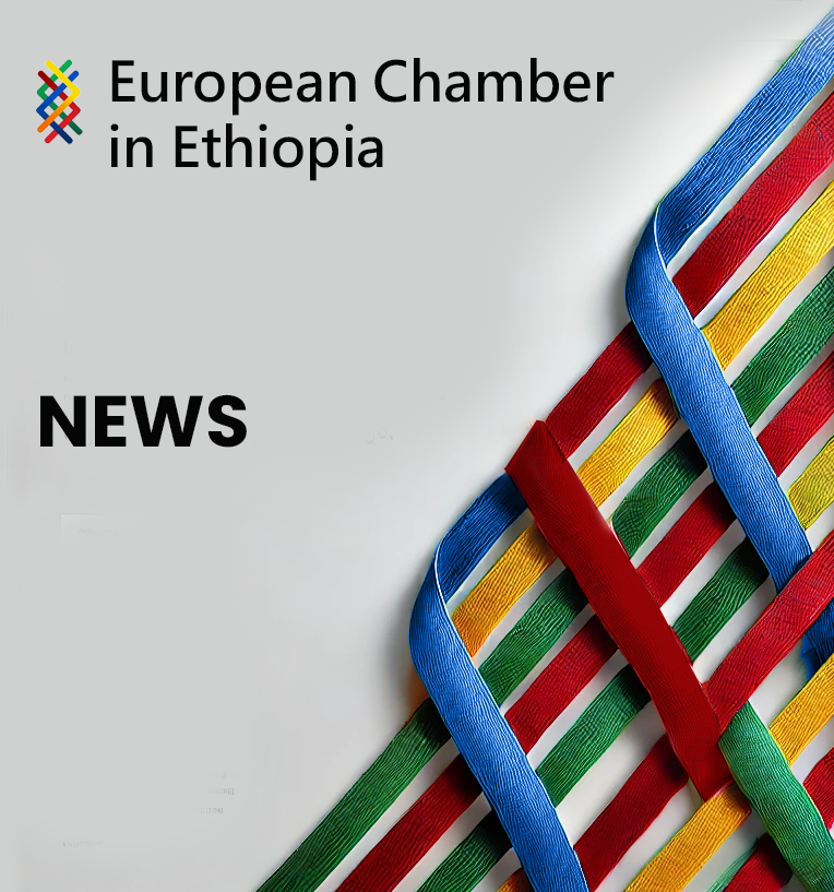 Ethiopian Investment Commission Commissioner H.E. Hanna Arayaselassie ...